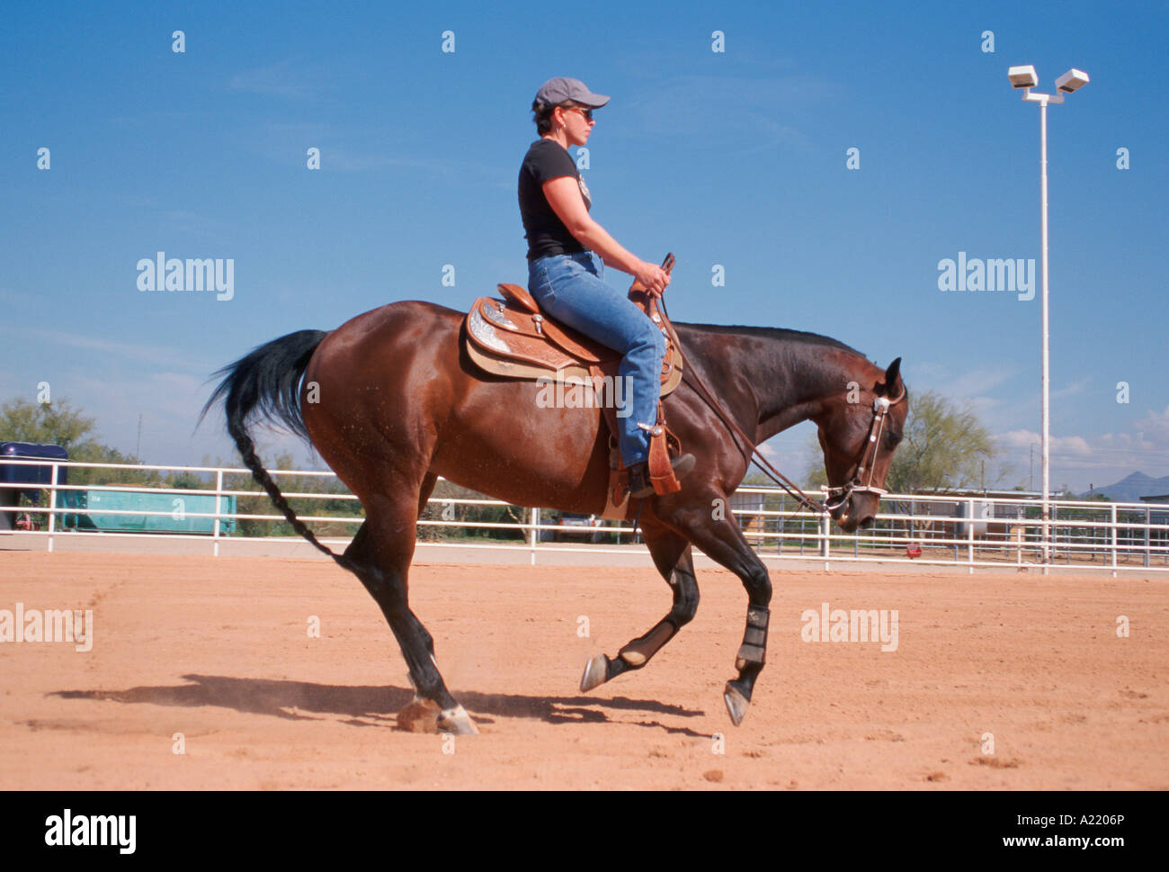 Arizona trainers hi-res stock photography and images - Alamy