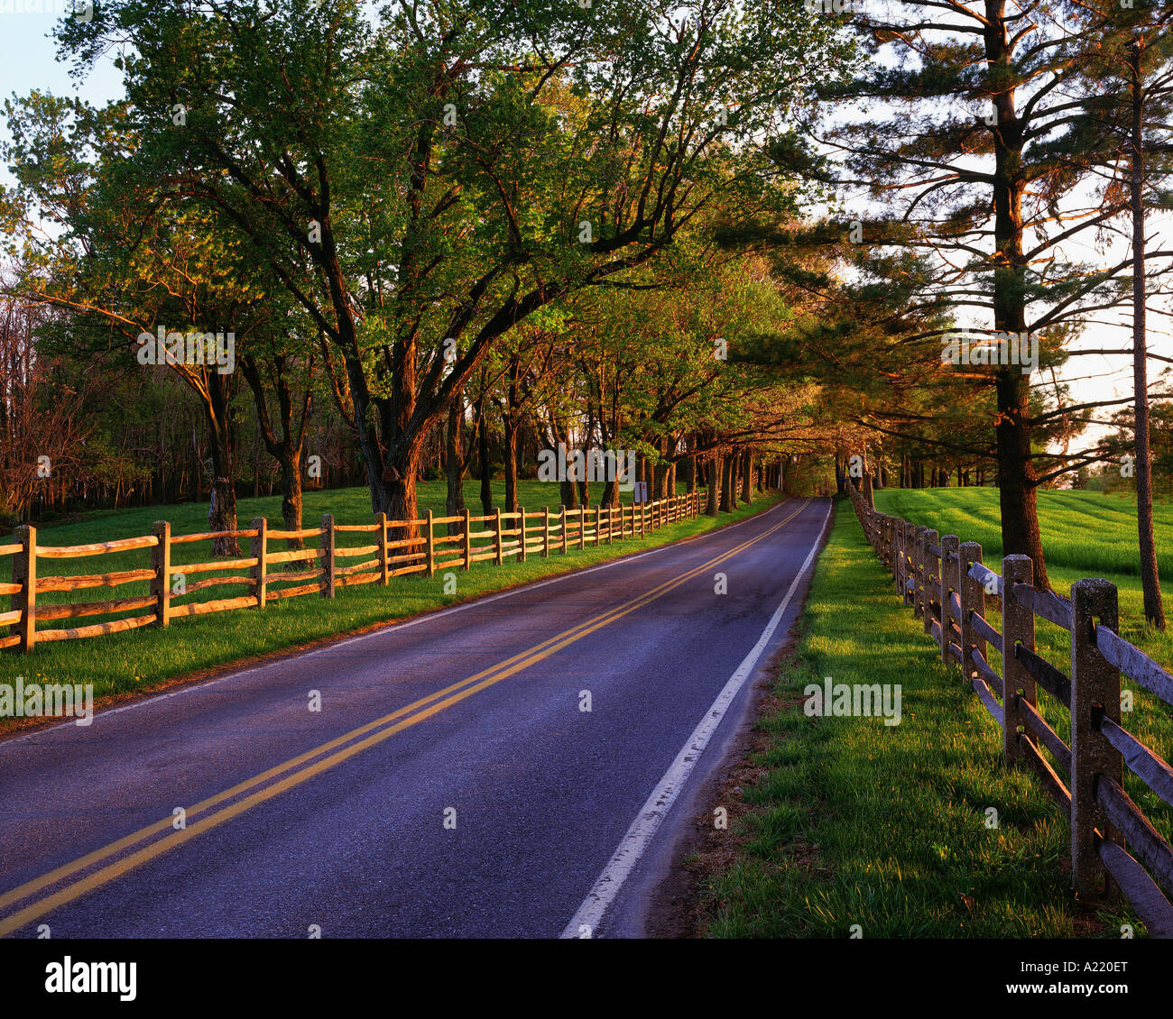 Deserted stretch mountain road hi-res stock photography and images - Alamy