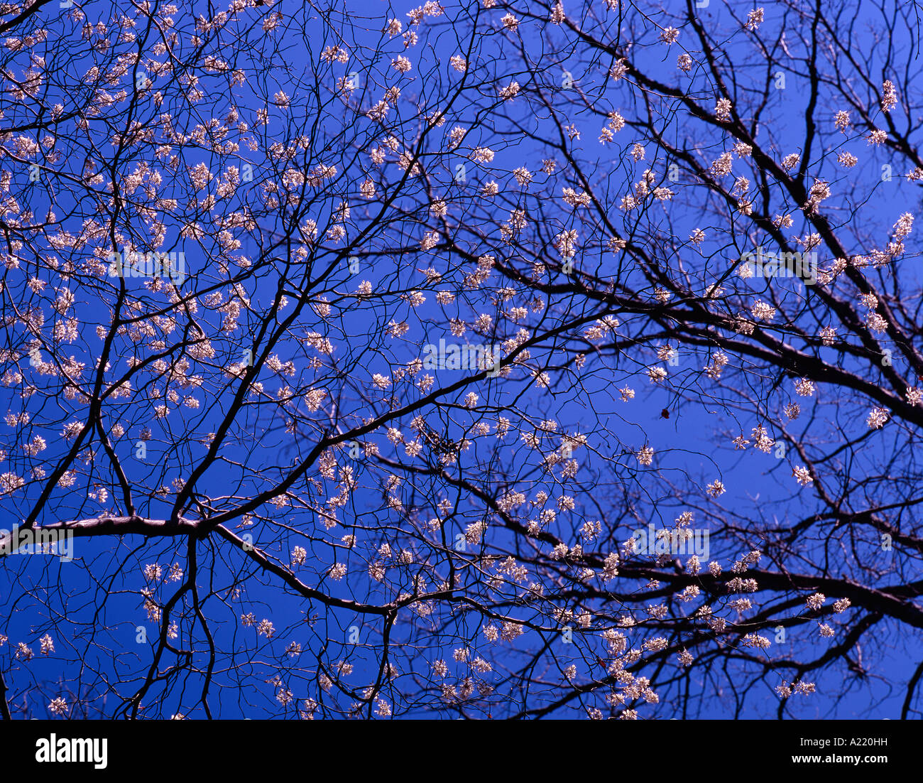 Seneca creek state park, maryland hi-res stock photography and images ...