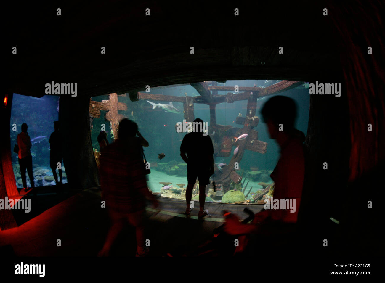 Shark Reef Mandalay Bay Las Vegas Nevada USA Stock Photo - Alamy