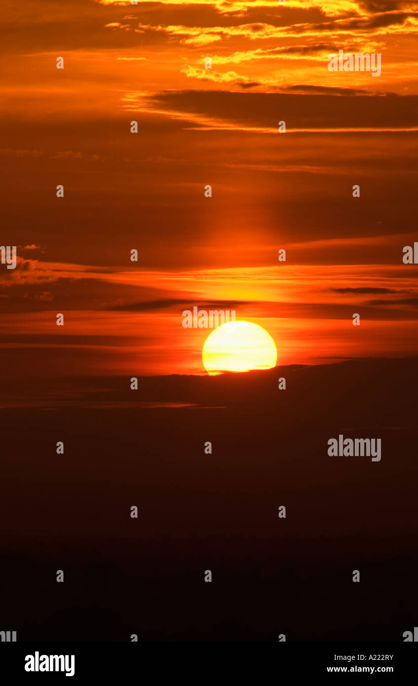 Dawn over Wittenham Clumps, Oxfordshire Stock Photo - Alamy