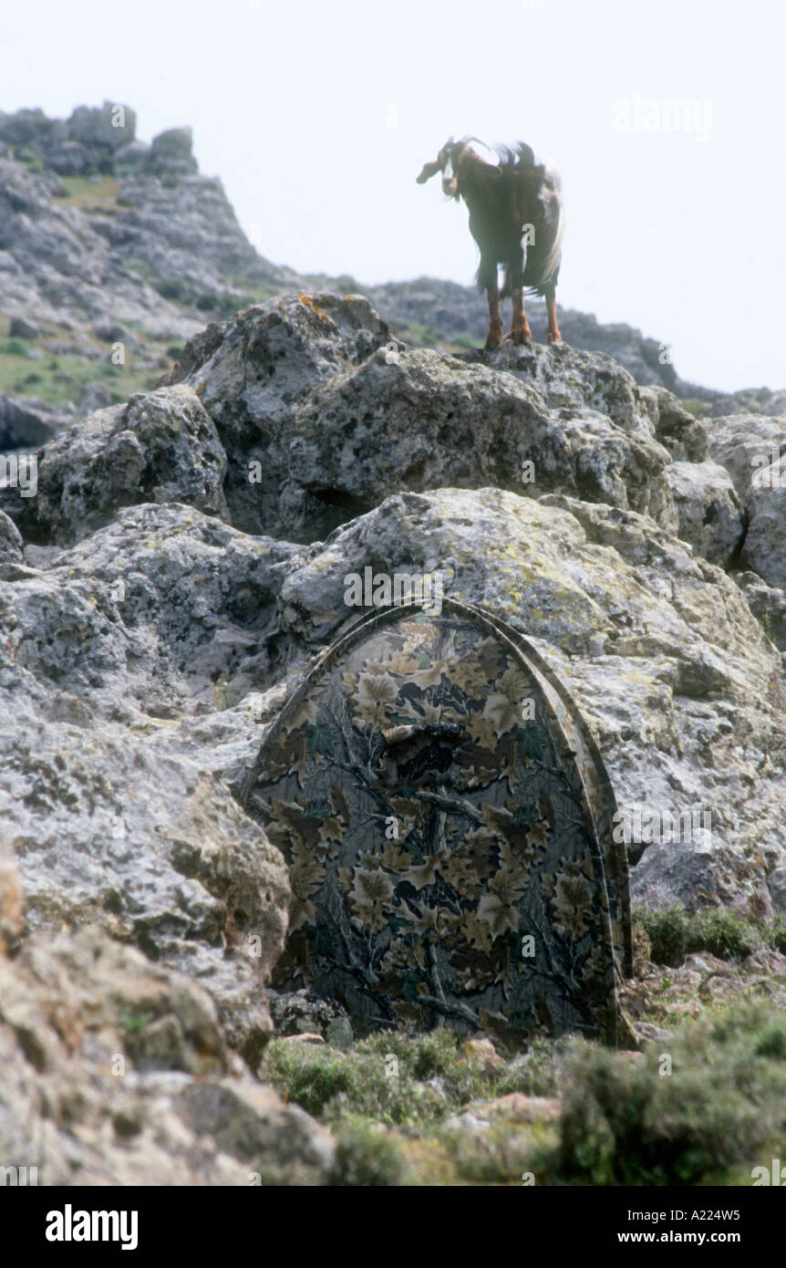 camouflaged photographer's hide Stock Photo - Alamy