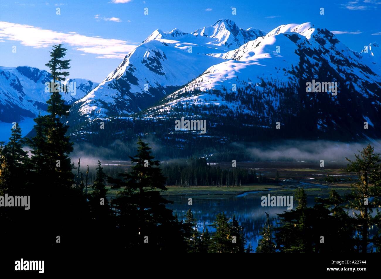 Coghill hi-res stock photography and images - Alamy