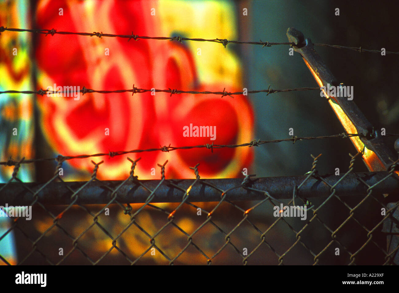 Barbed wire and graffiti Stock Photo - Alamy