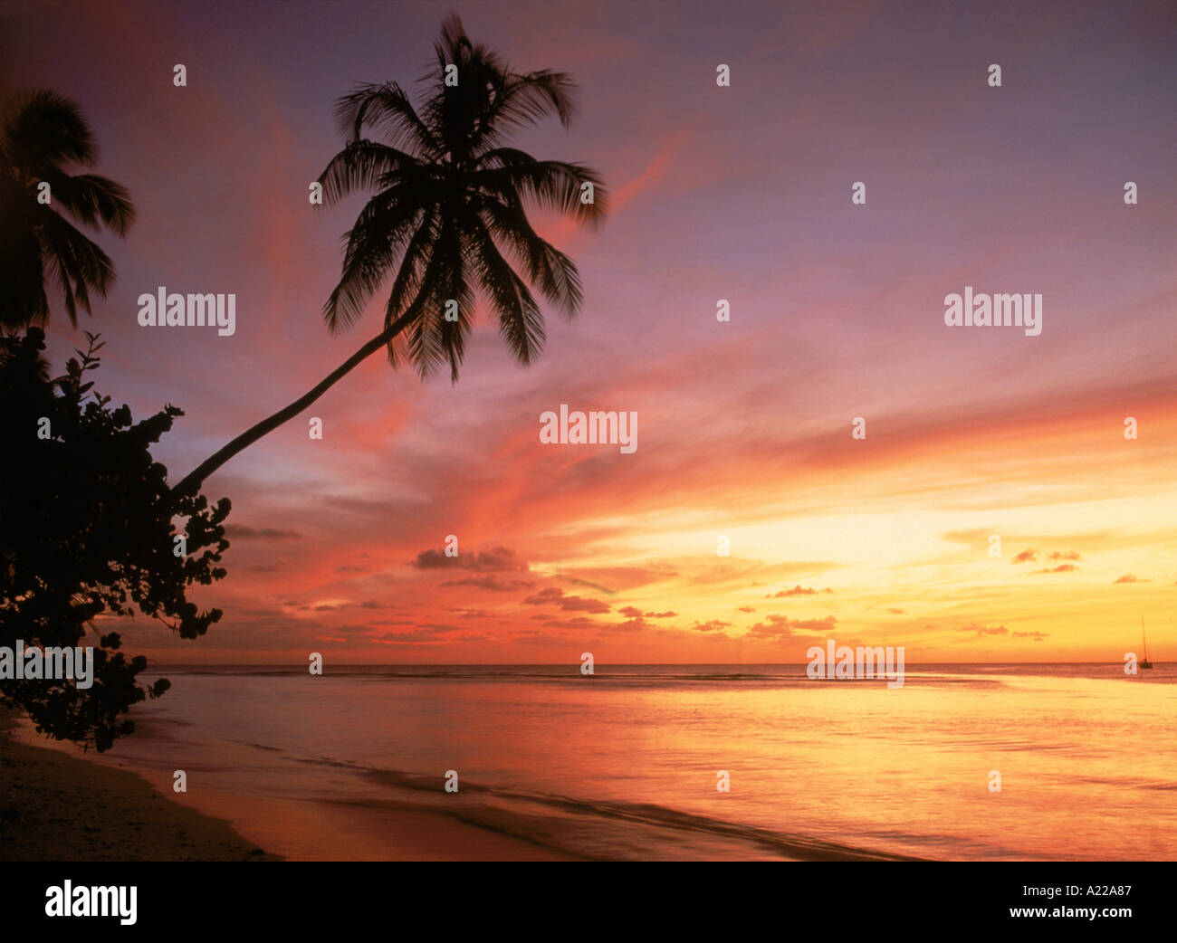 Tropical sunset Pigeon Point Tobago Caribbean J Miller Stock Photo - Alamy