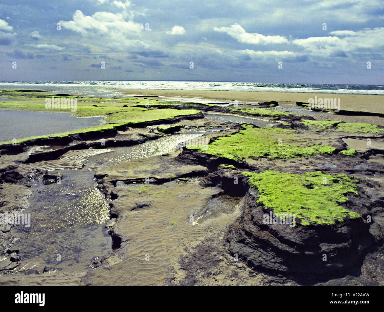 Wadden seas hi-res stock photography and images - Alamy