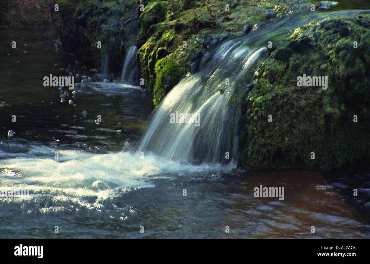 brook with waterfall in forest Stock Photo - Alamy
