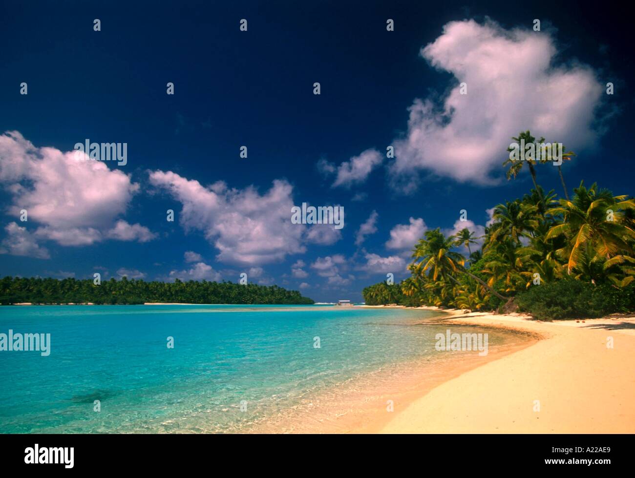 Empty beach on One Foot Island Aitutaki Cook s Island Pacific Islands N ...