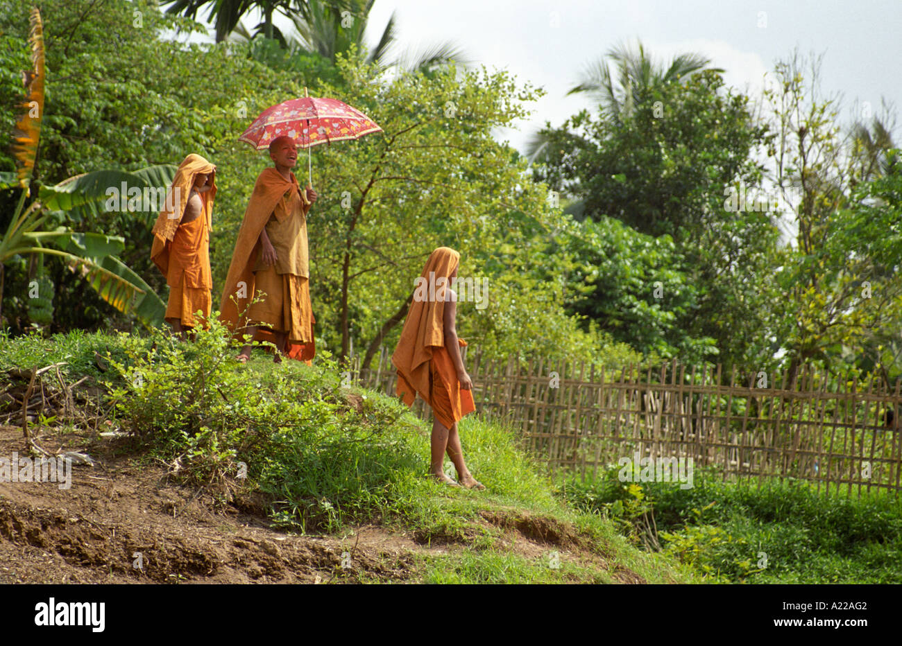 Loas monks hi-res stock photography and images - Alamy