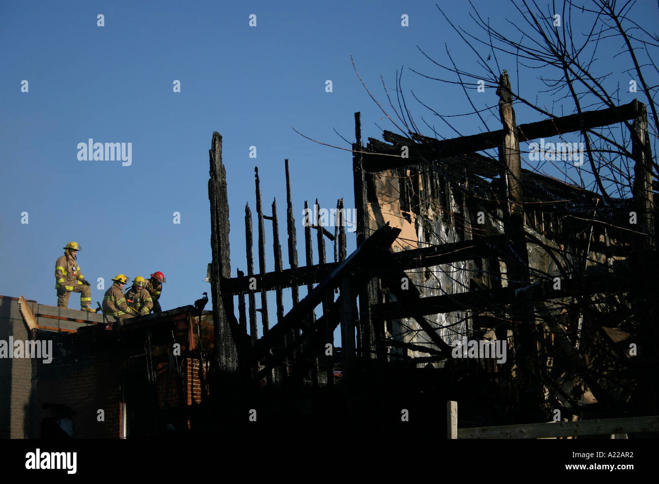 Firefighters in action Stock Photo - Alamy