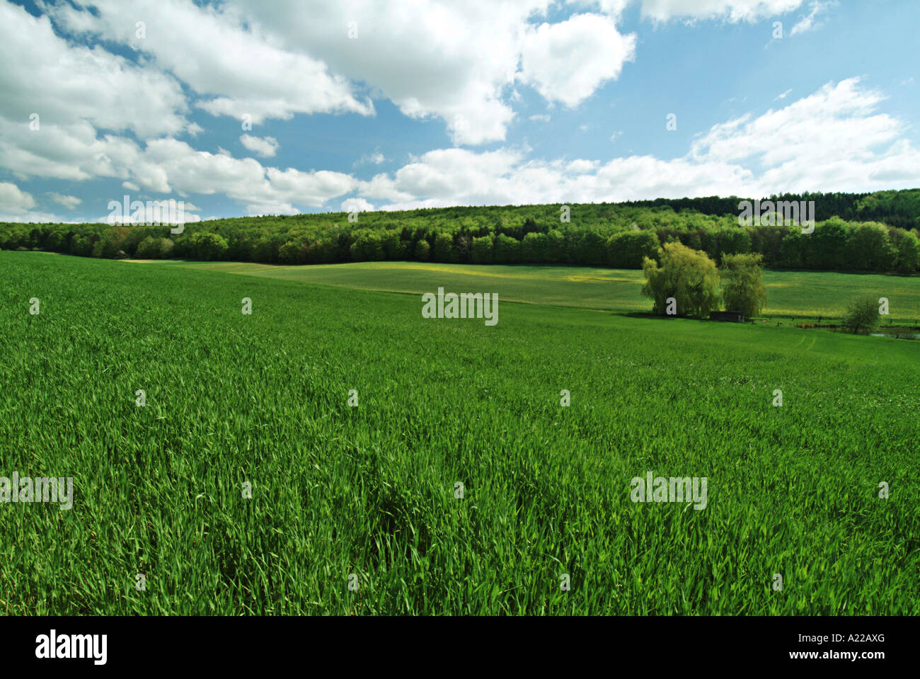 field - spring Stock Photo - Alamy