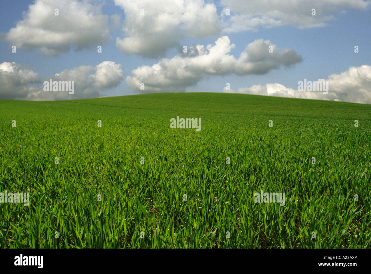 field - spring Stock Photo - Alamy