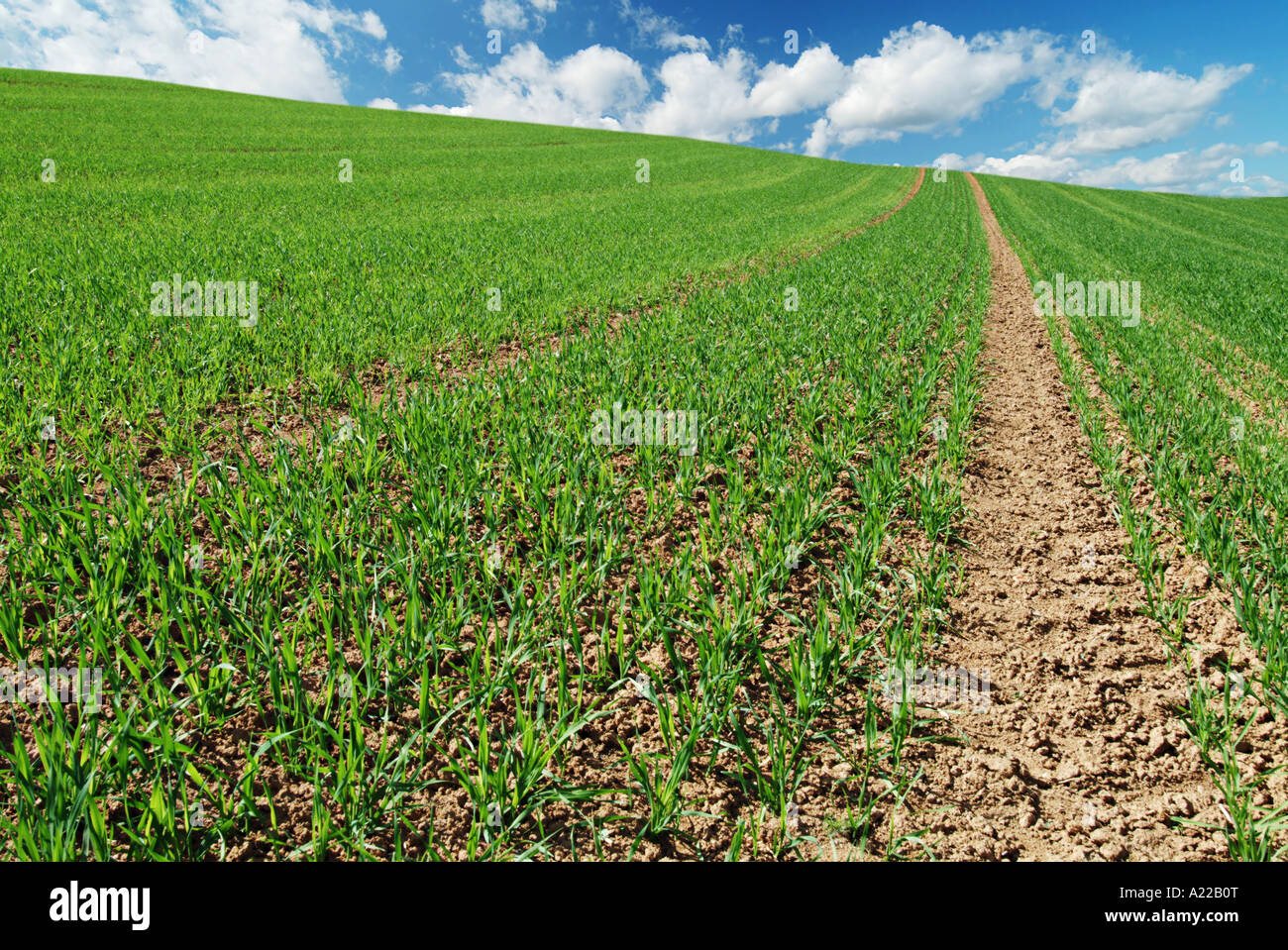 field - spring Stock Photo - Alamy