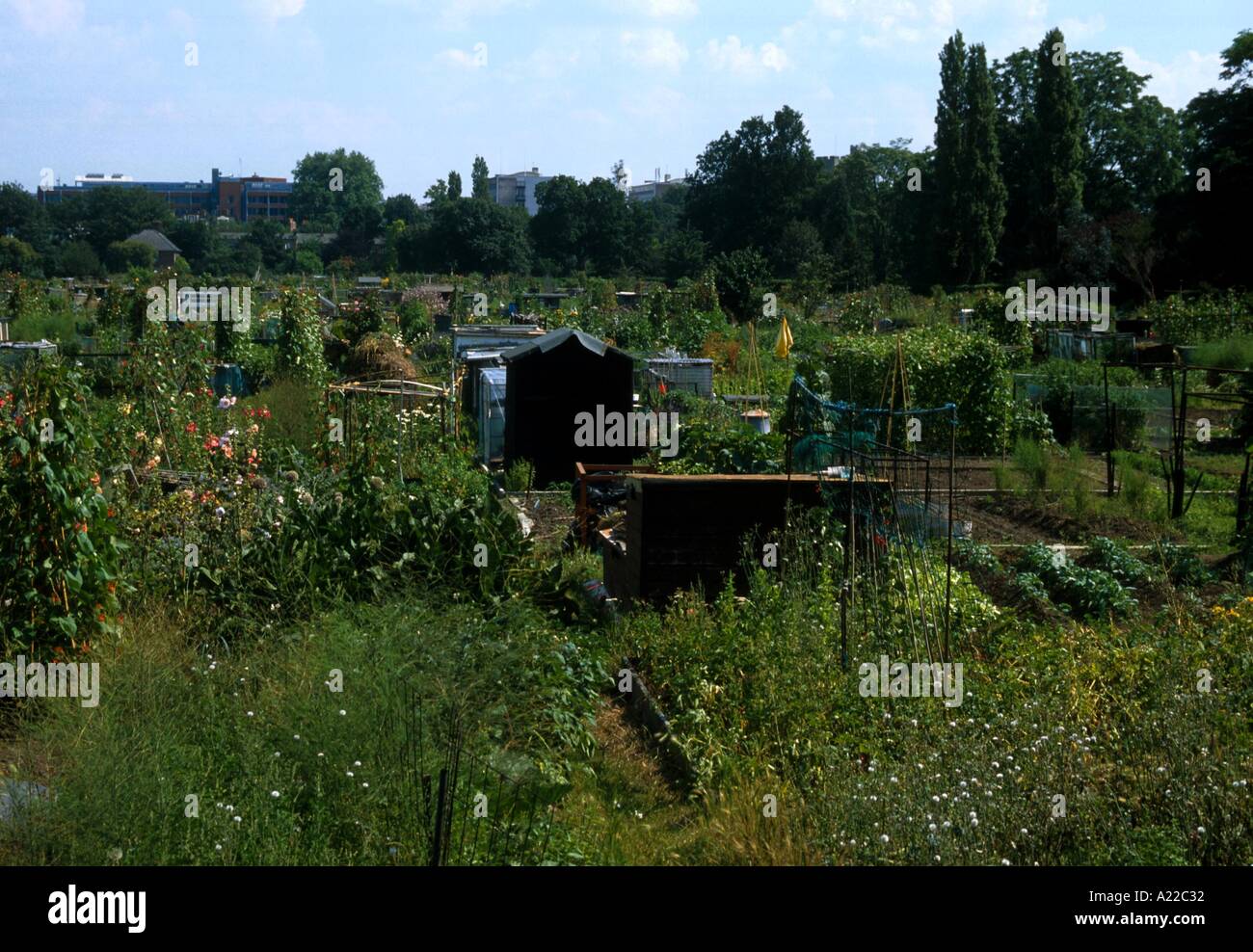 Allotments Fulham London England UK V Skeet Stock Photo - Alamy