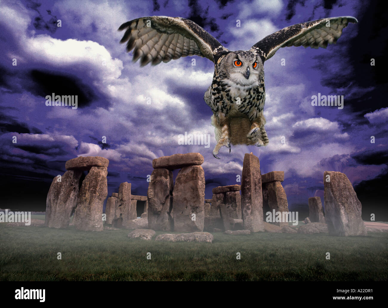 Archaeologist ancient hunting site hi-res stock photography and images ...