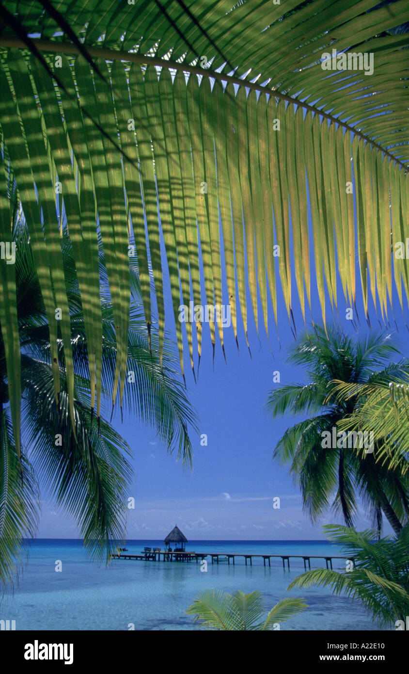 Jetty off tropical beach Local Caption Rangiroa Stock Photo - Alamy