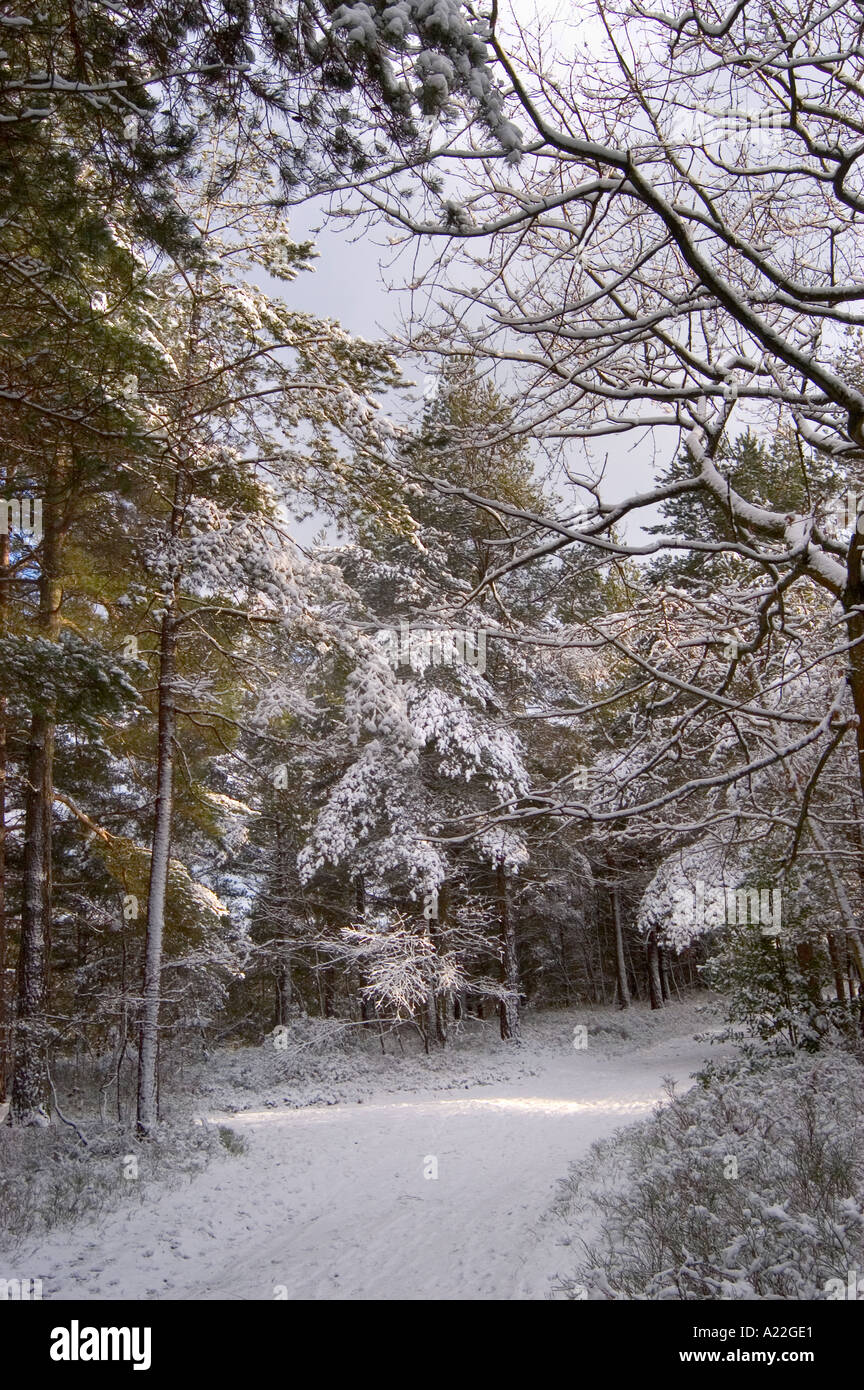 The surrey hills hi-res stock photography and images - Alamy