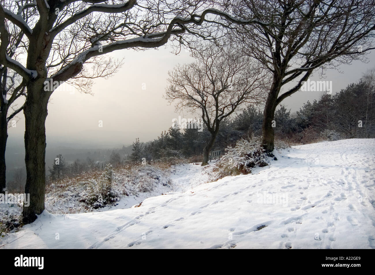 Winter on Pitch Hill Surrey Stock Photo - Alamy
