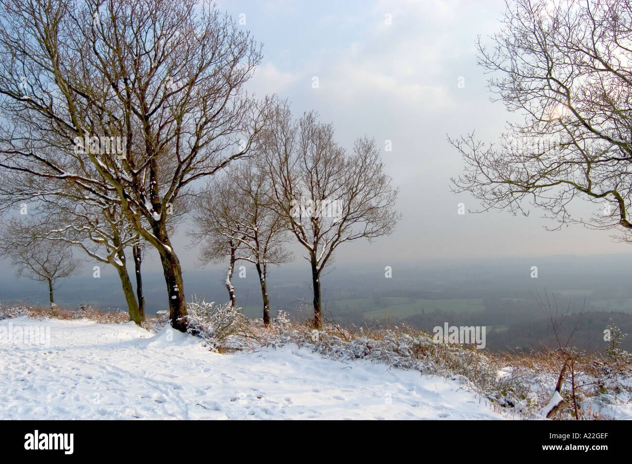 Winter on Pitch Hill Surrey Stock Photo - Alamy