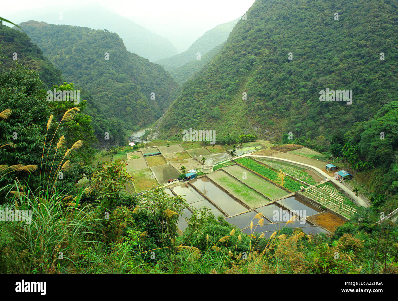 Maolin hi-res stock photography and images - Alamy