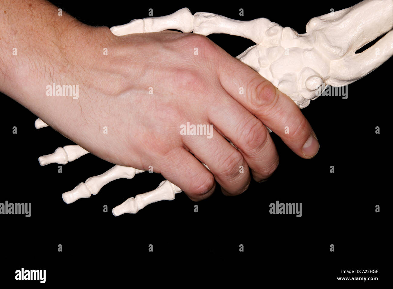 Shaking hands with a plastic skeleton hand Stock Photo - Alamy