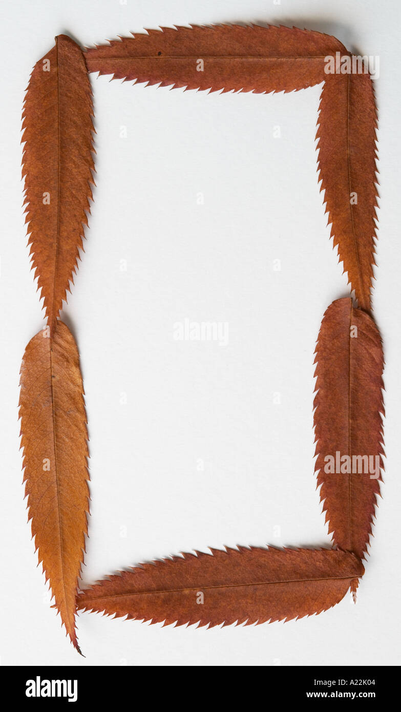 0 zero nought number alphabet and numbers with autumn brown red dry ...