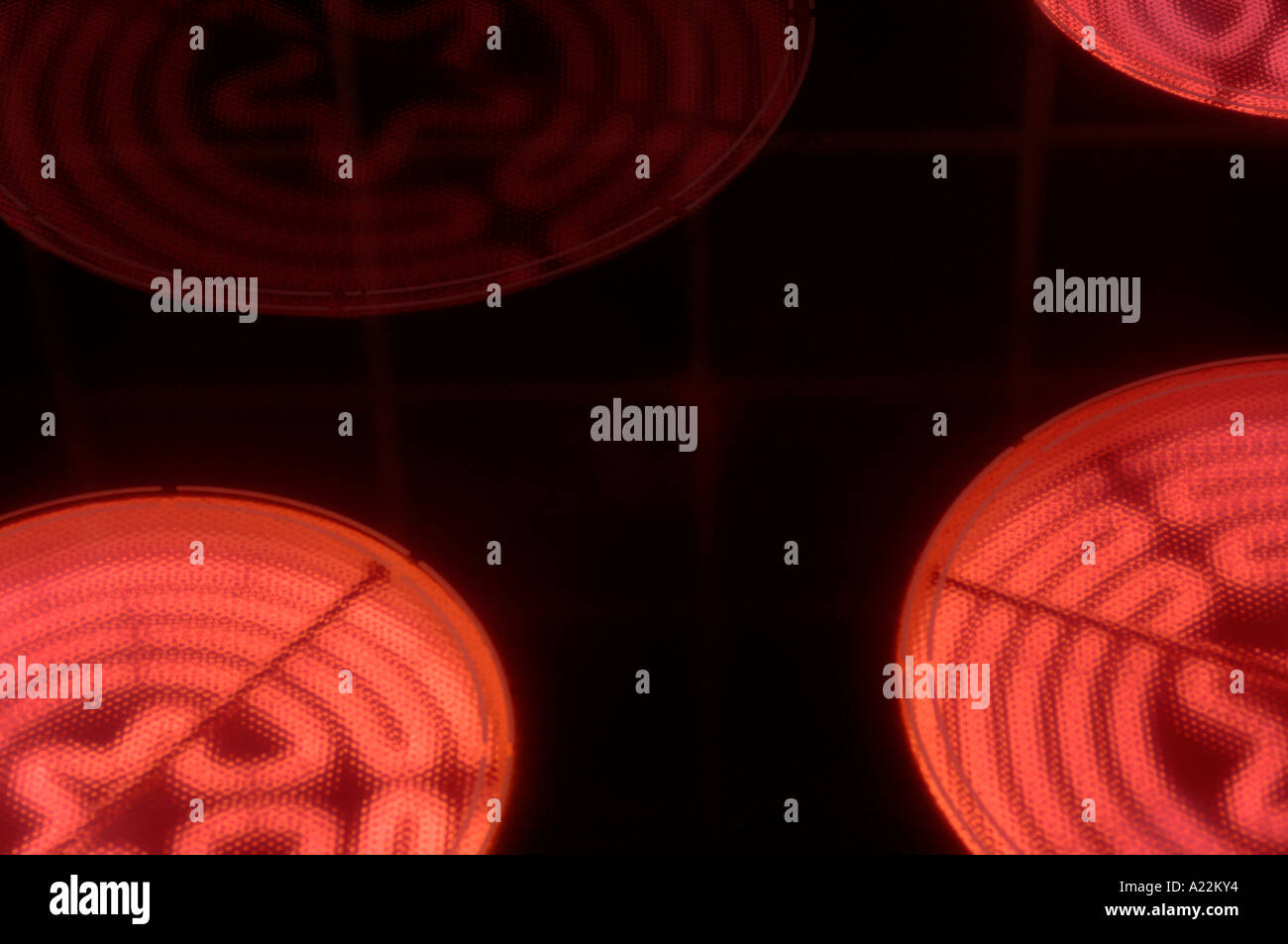 Four glowing hot plates on an electric halogen kitchen hob Stock Photo ...
