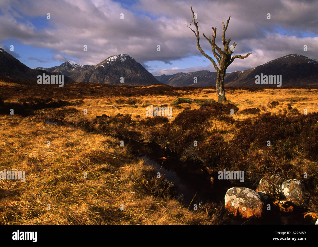 Rannoch Moor, Scotland Stock Photo - Alamy