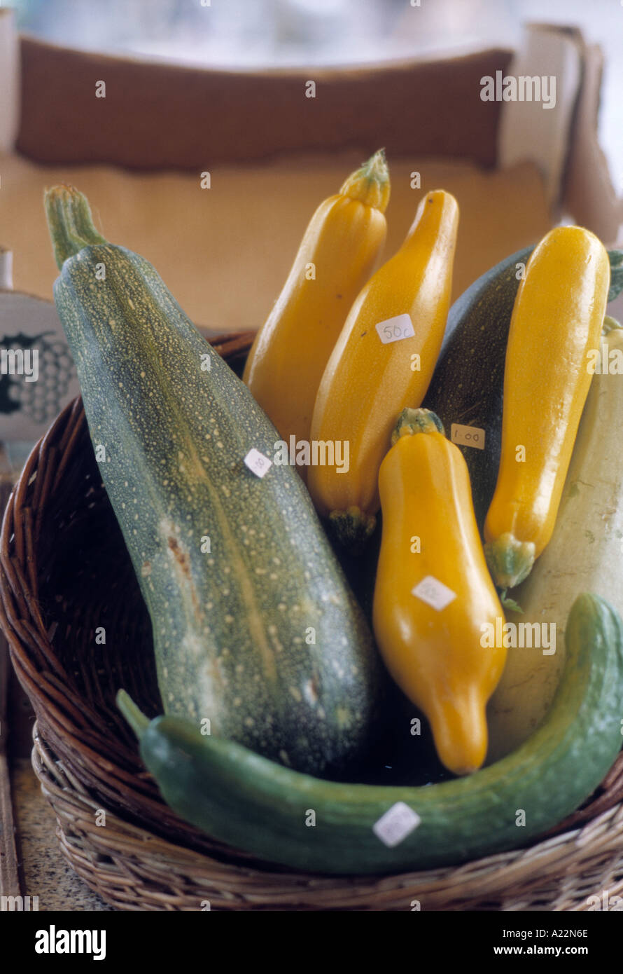 the wide range Courgettes Marrows and Squash Cucurbita and vegetables ...