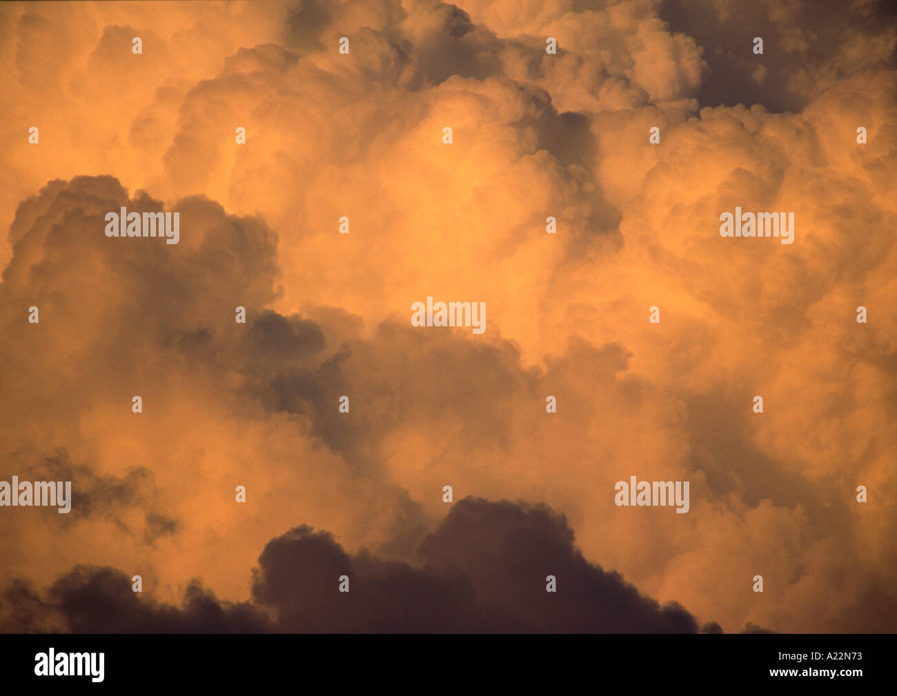 Monsoon wet season australia hi-res stock photography and images - Alamy