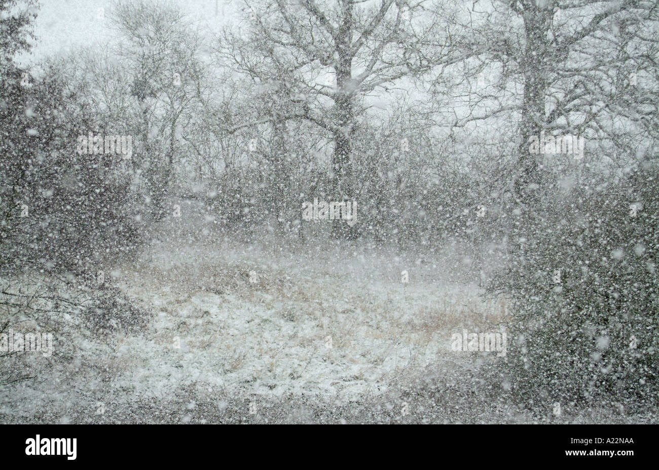 Snow falling in country hi-res stock photography and images - Alamy