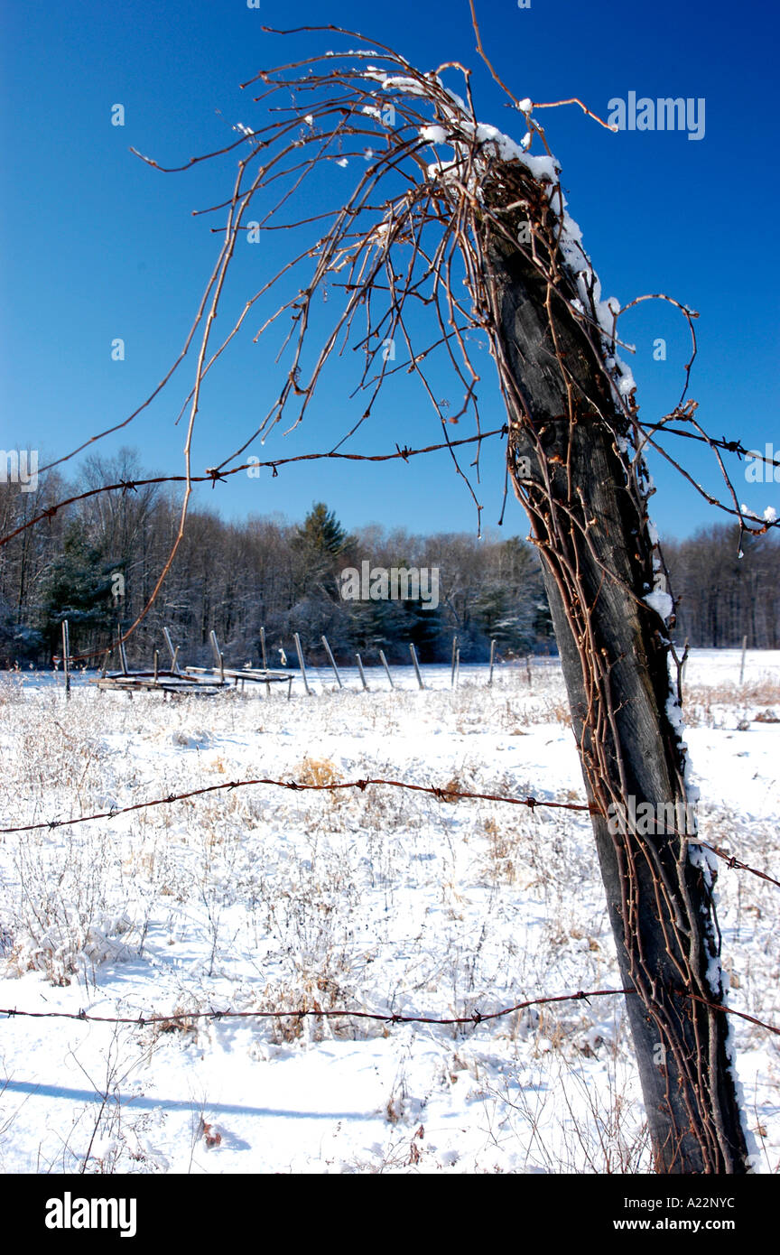Barbed wire fencing farm field winter field hi-res stock photography ...