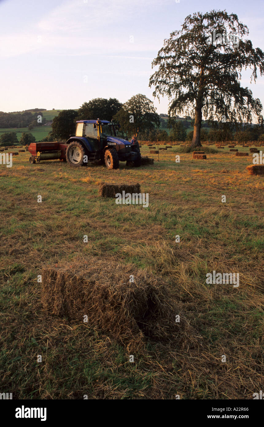 Harvest Time in Staffordshire Stock Photo - Alamy
