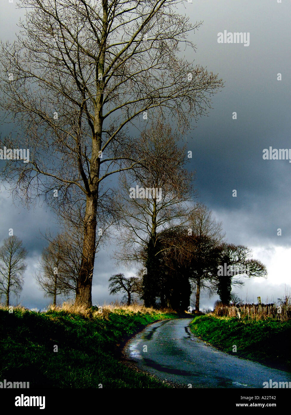 Country roads norfolk england hi-res stock photography and images - Alamy