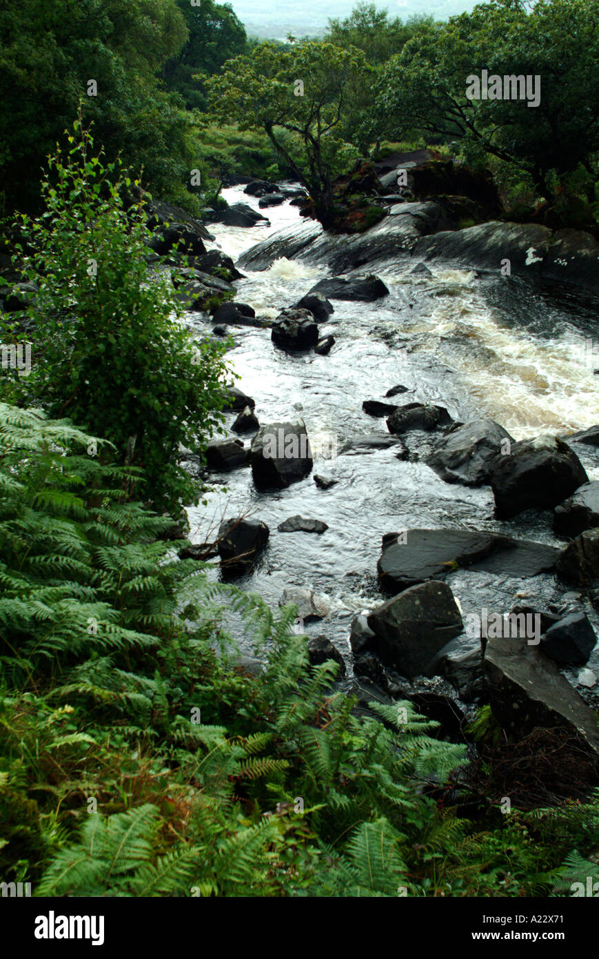River near Killarney Ireland Stock Photo - Alamy