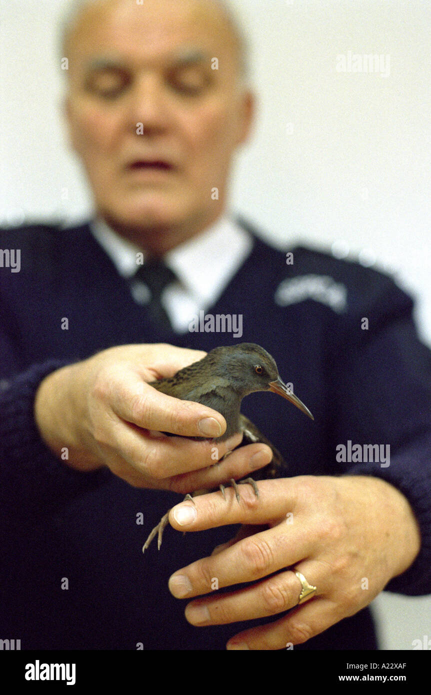 rspcb officer with bird Stock Photo - Alamy