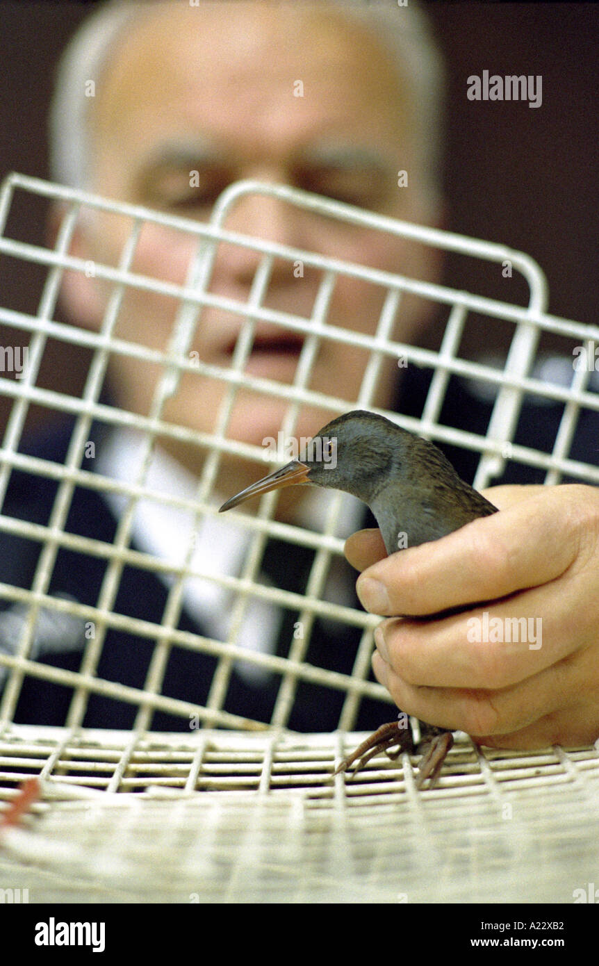 Captive officer hi-res stock photography and images - Alamy