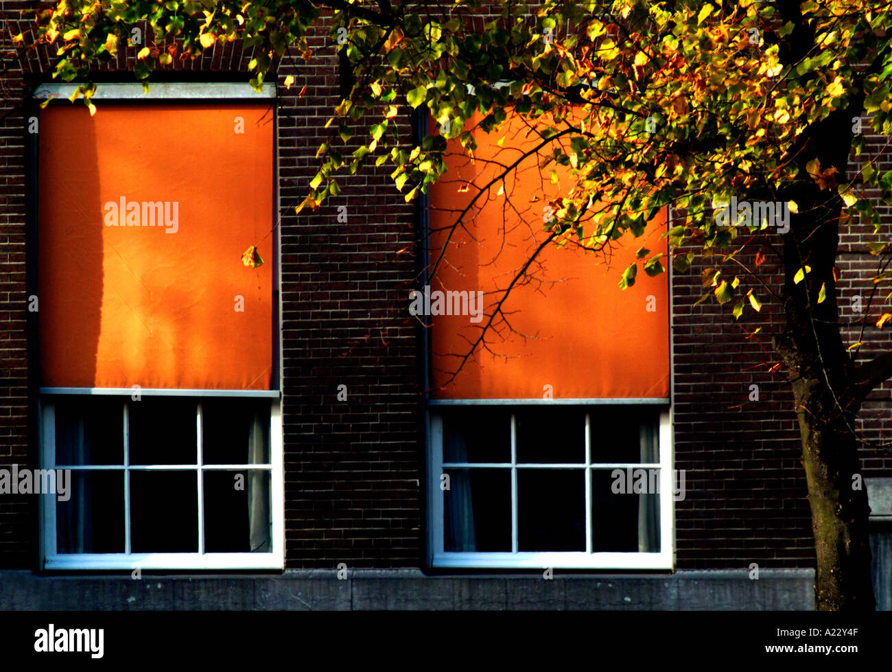 Juxtaposed houses hi-res stock photography and images - Alamy