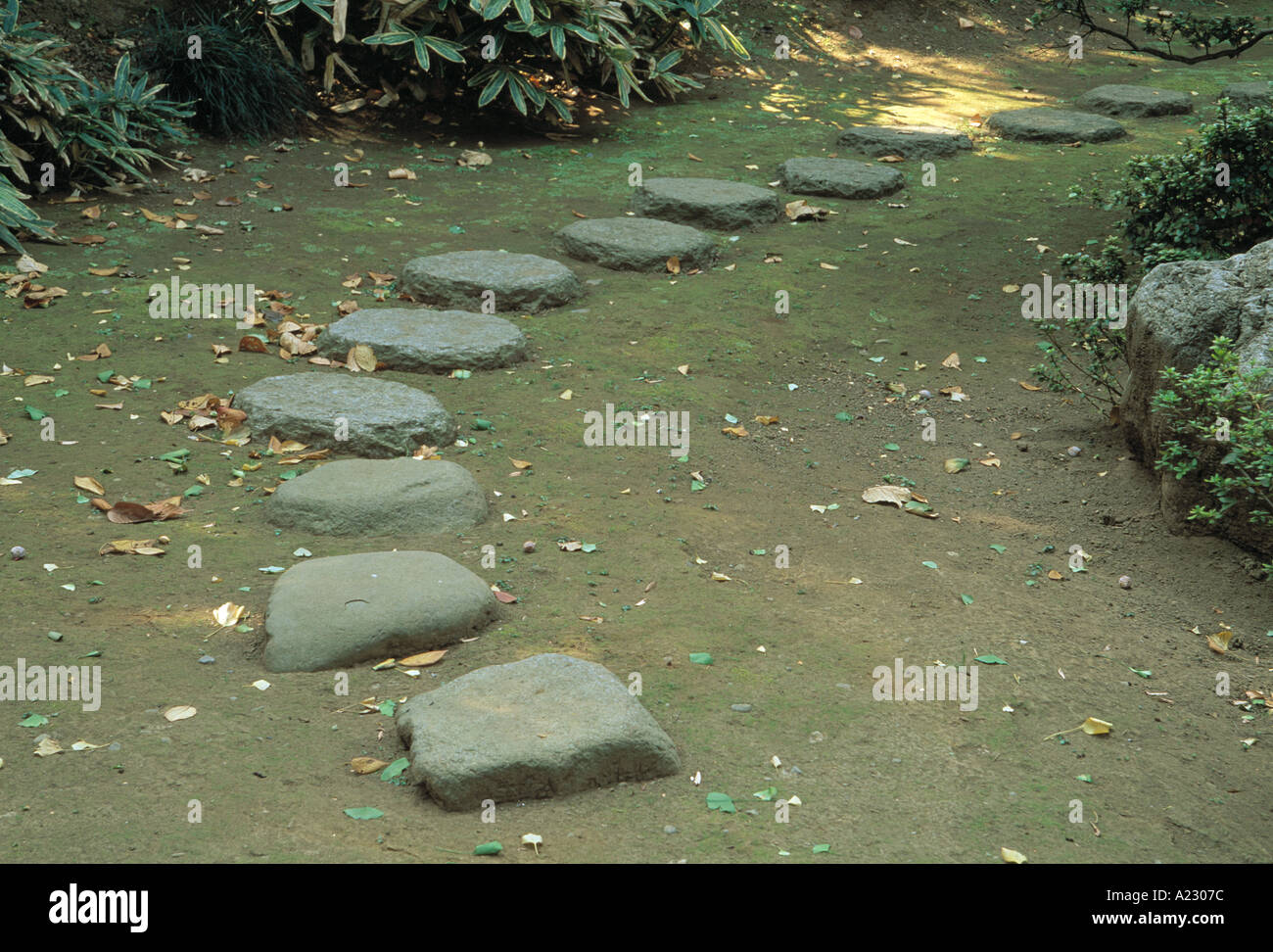 Stepping stone paths hi-res stock photography and images - Alamy