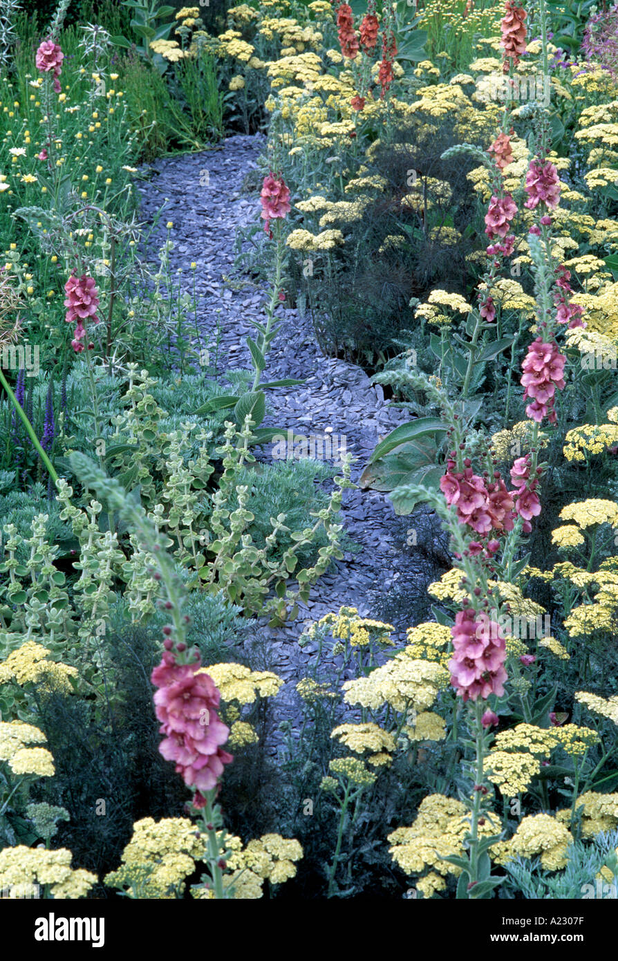 Slate path hi-res stock photography and images - Alamy