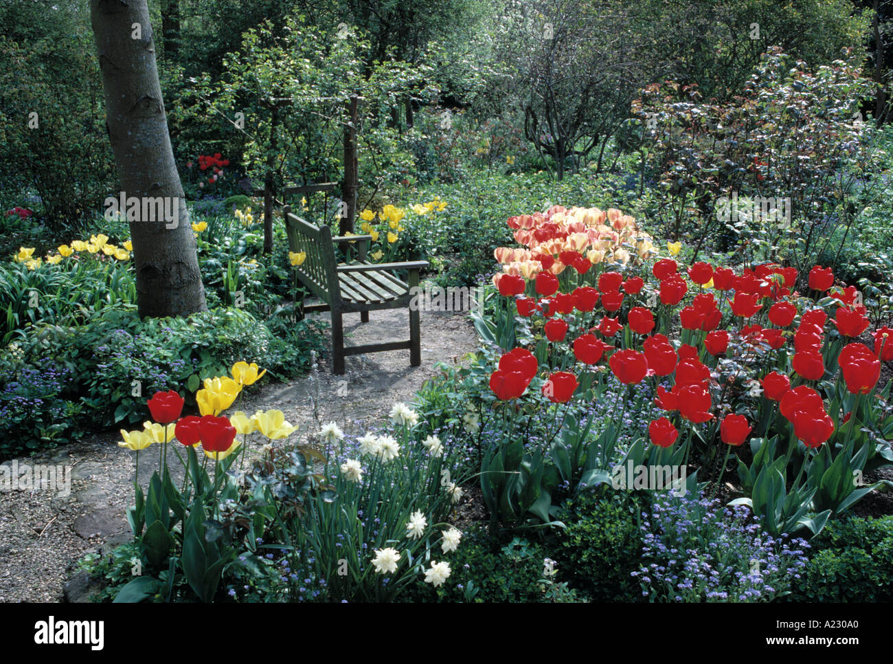 Bulbs borders hi-res stock photography and images - Alamy