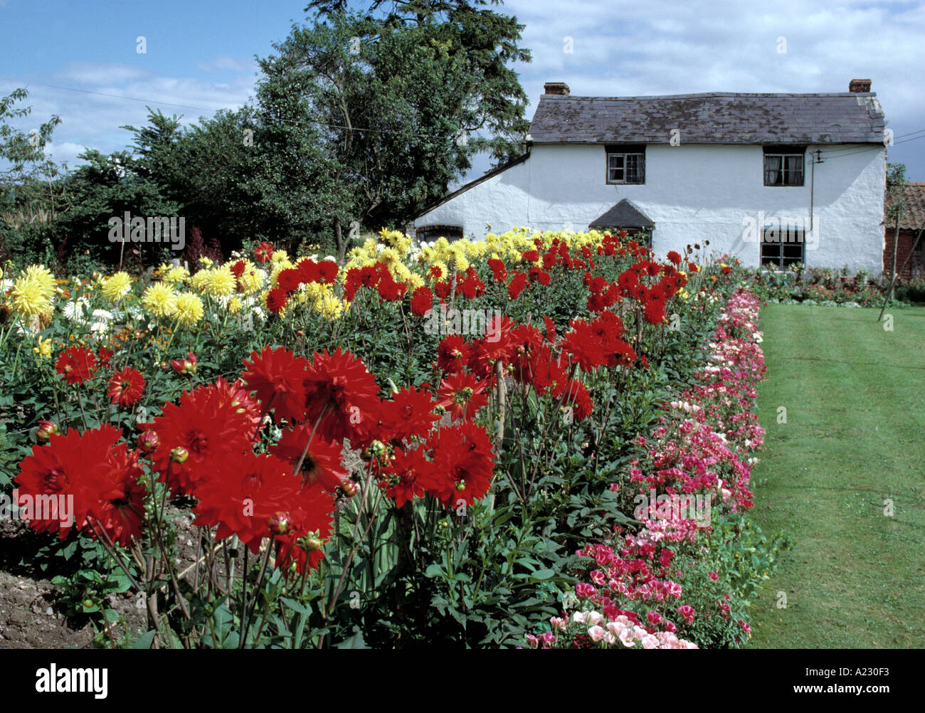 Tidy cottage hi-res stock photography and images - Alamy