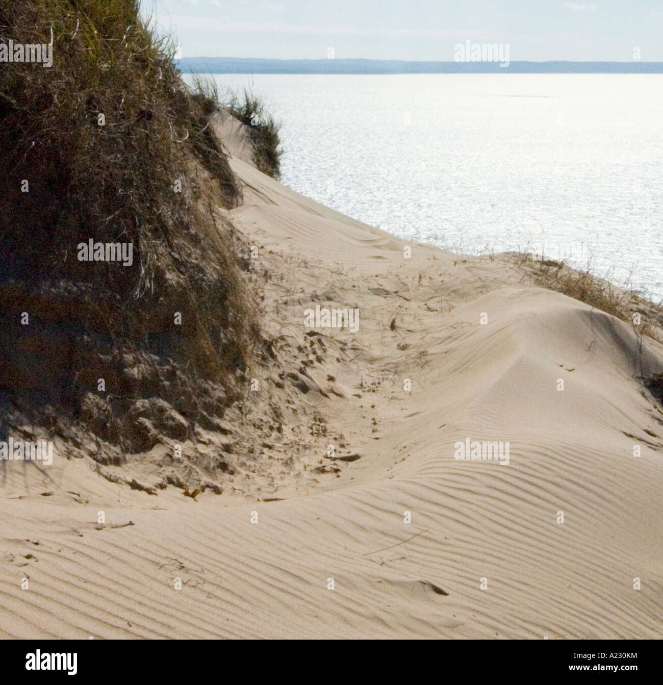 Sleepy bear dunes hi-res stock photography and images - Alamy