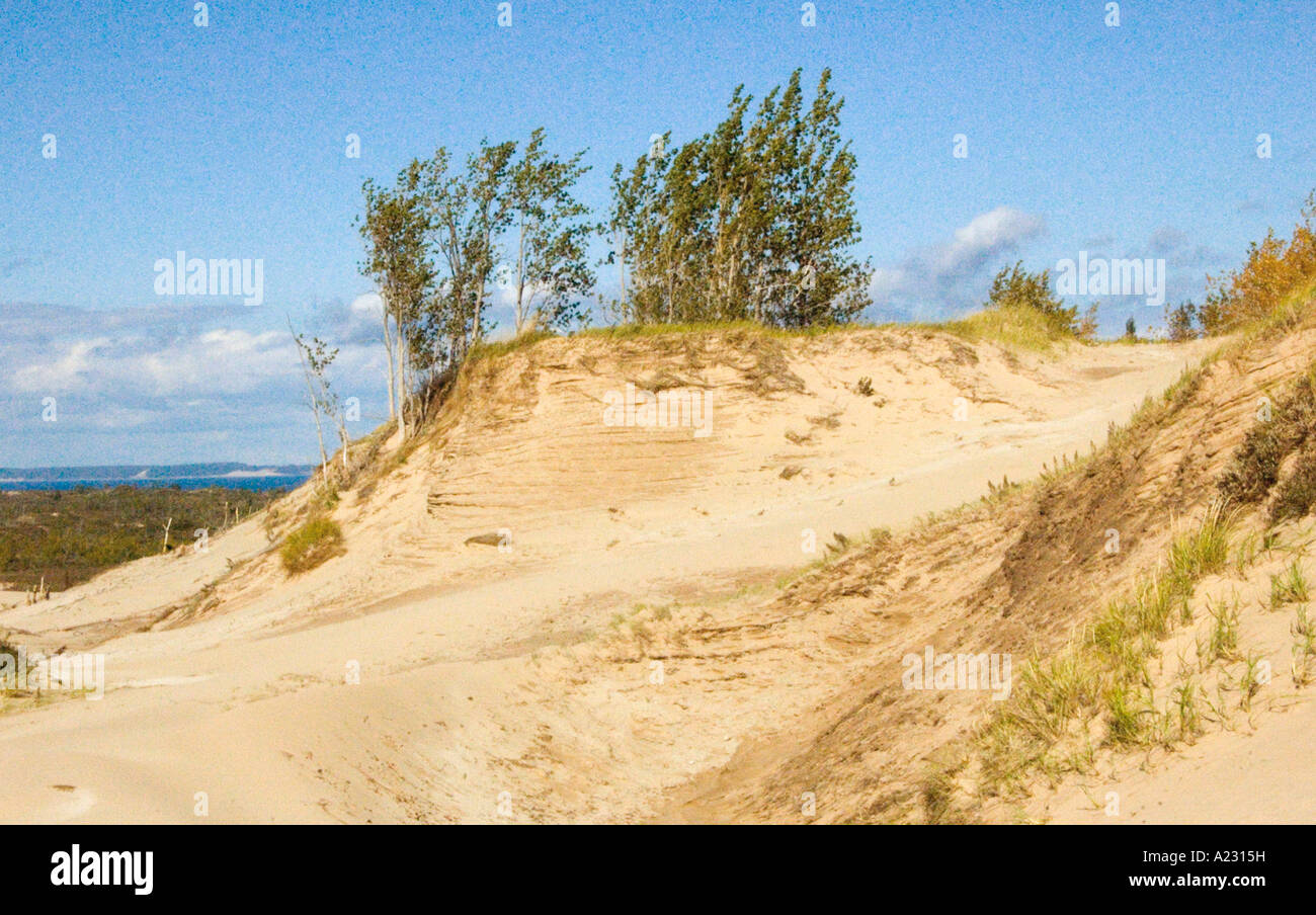 Sleepy Bear Sand Dunes Michigan USA Stock Photo - Alamy