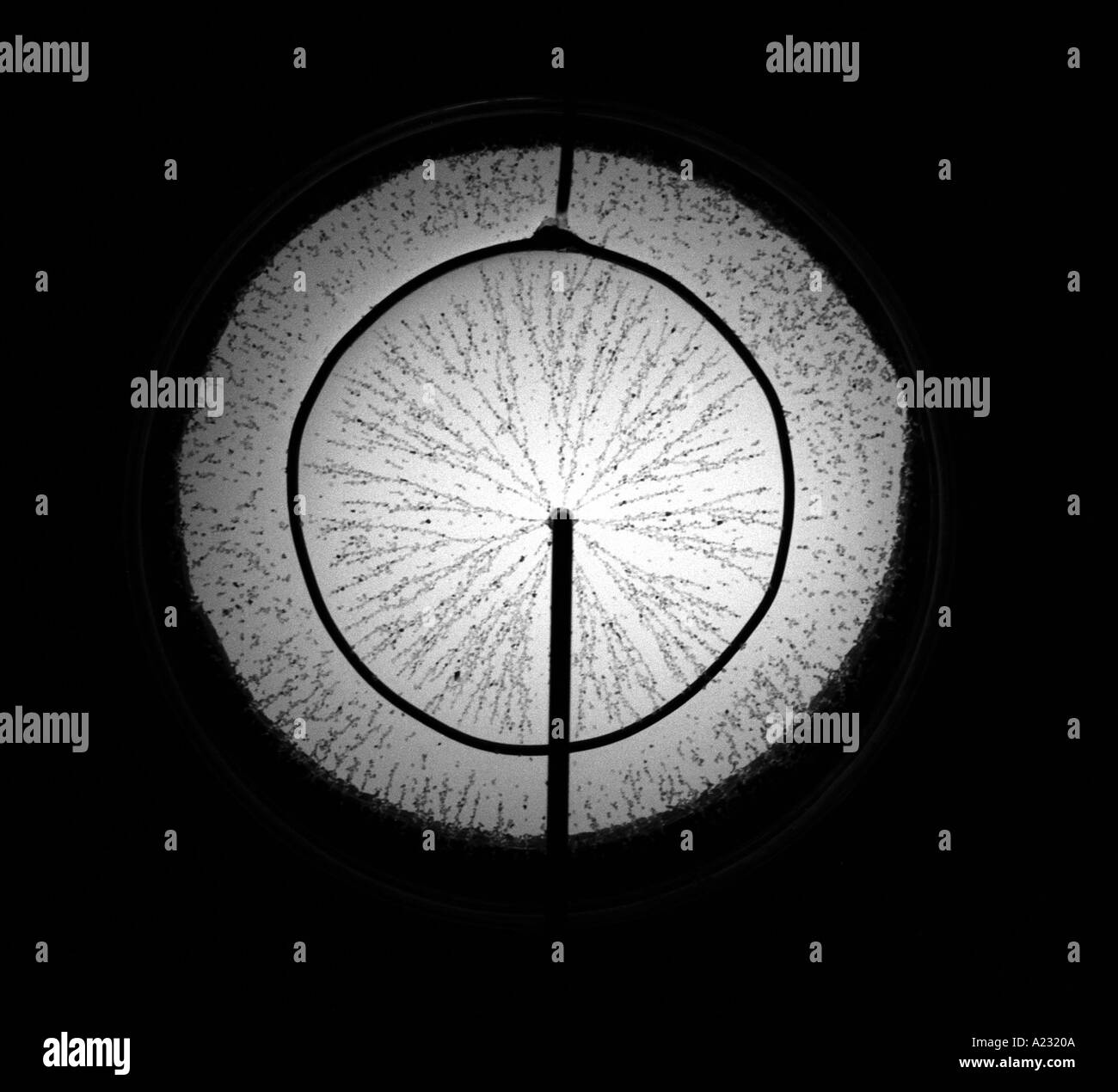 the electric field between a point charge and an earthed circular ...