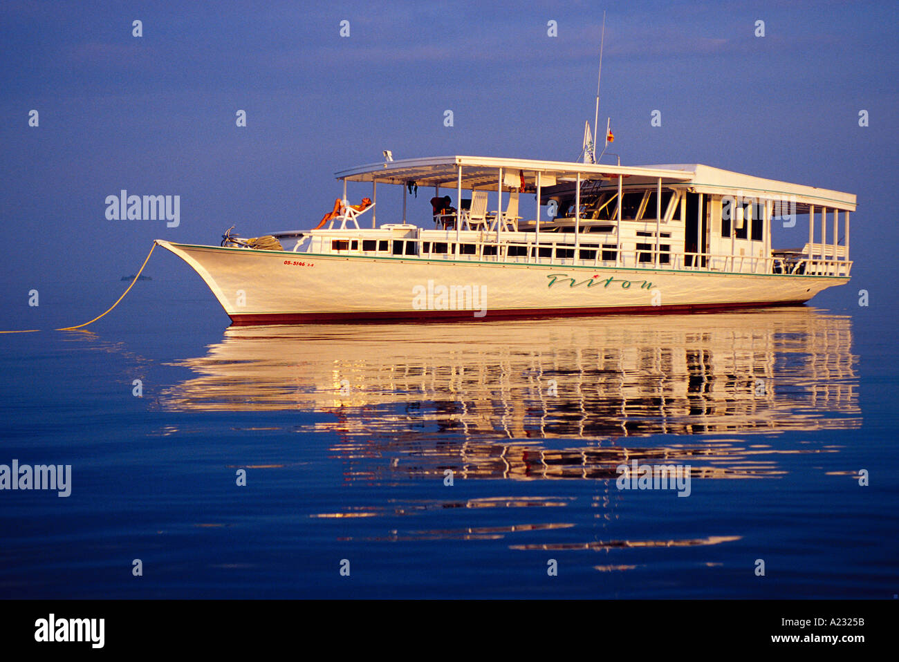 Diving Dhoni in indian ocean Stock Photo - Alamy