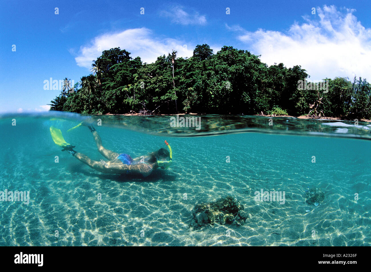 Skin divers hi-res stock photography and images - Alamy
