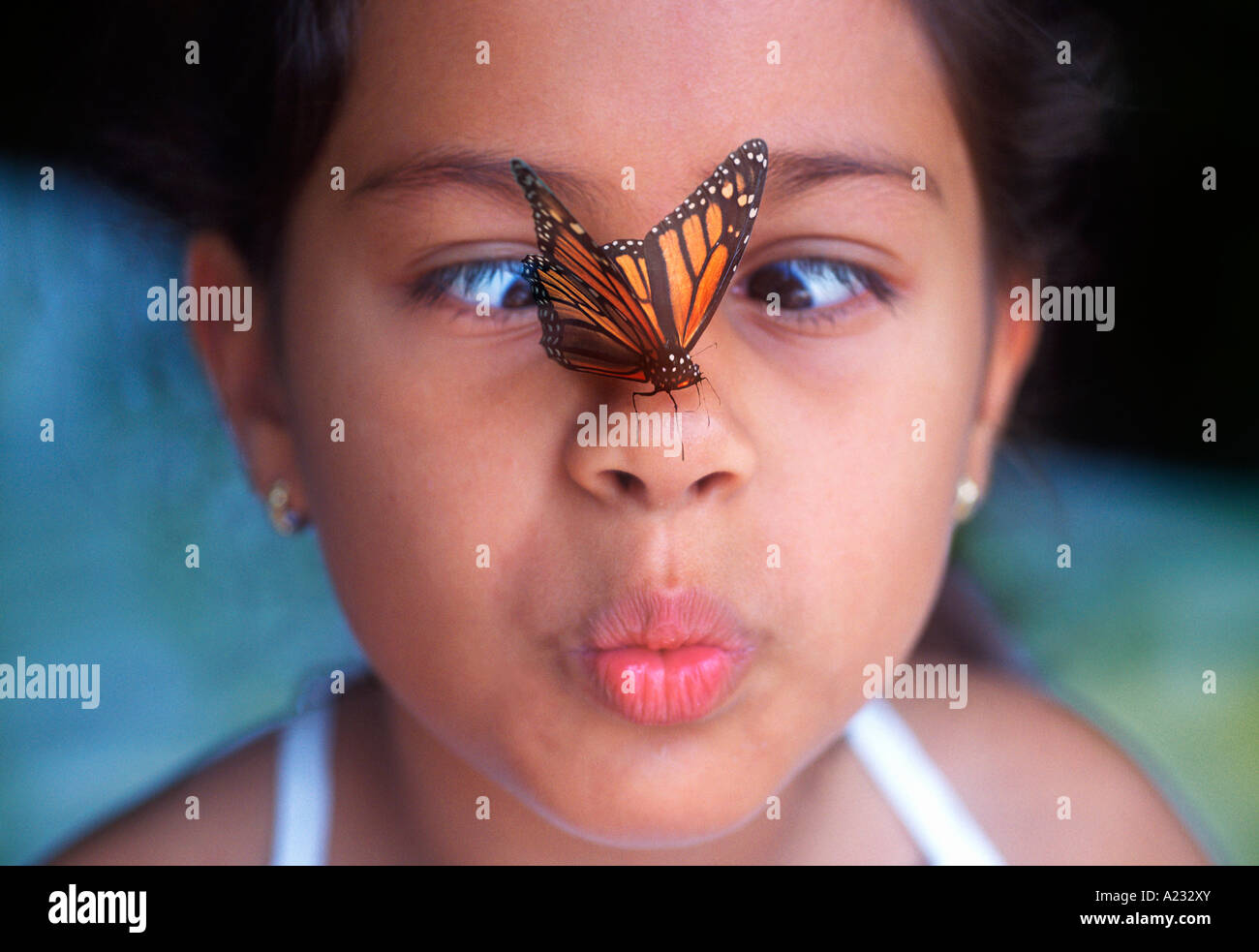 Young girl at home looking at a Monarch butterfly on her nose with ...