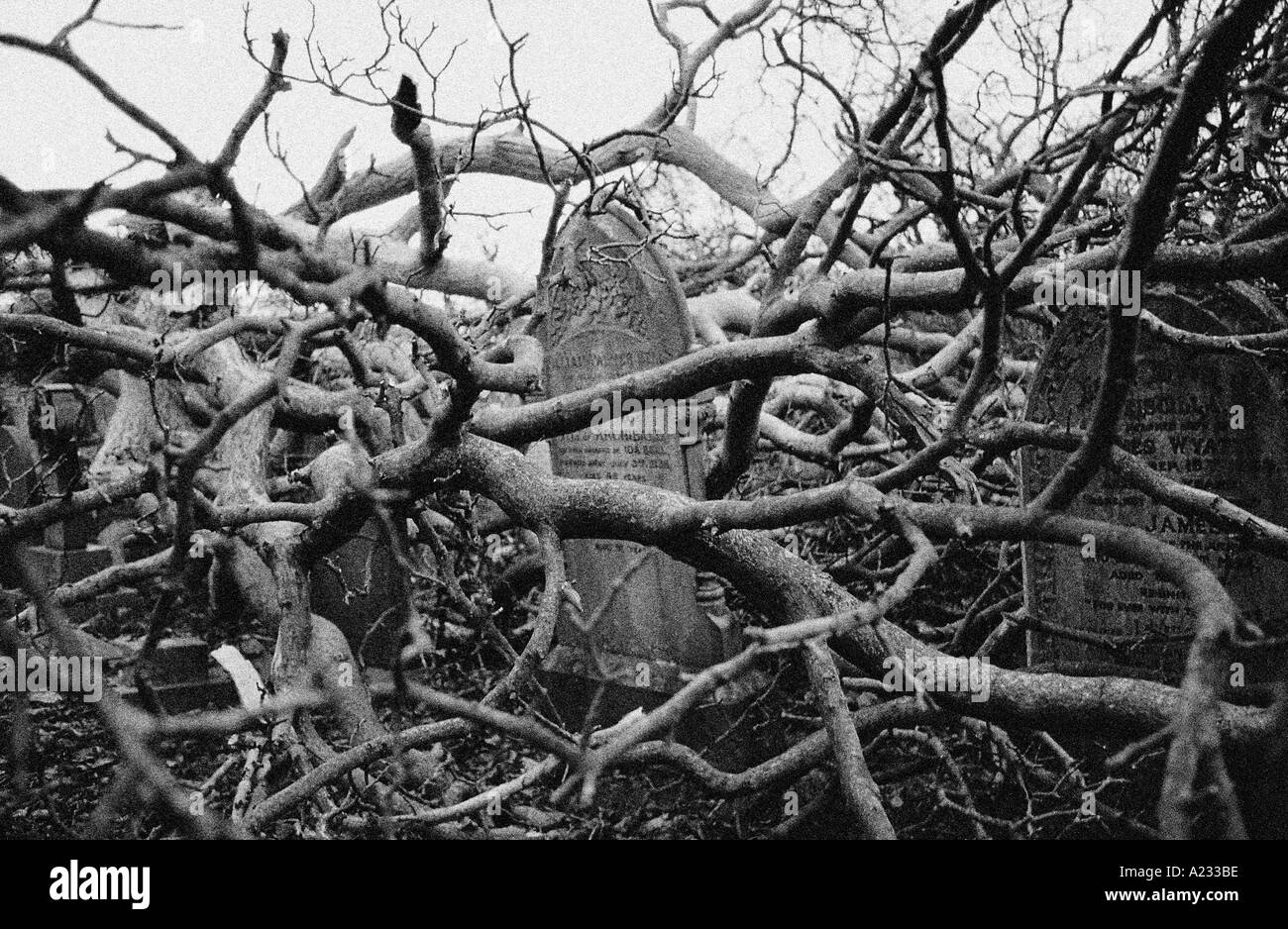 Ghoul cemetery hi-res stock photography and images - Alamy