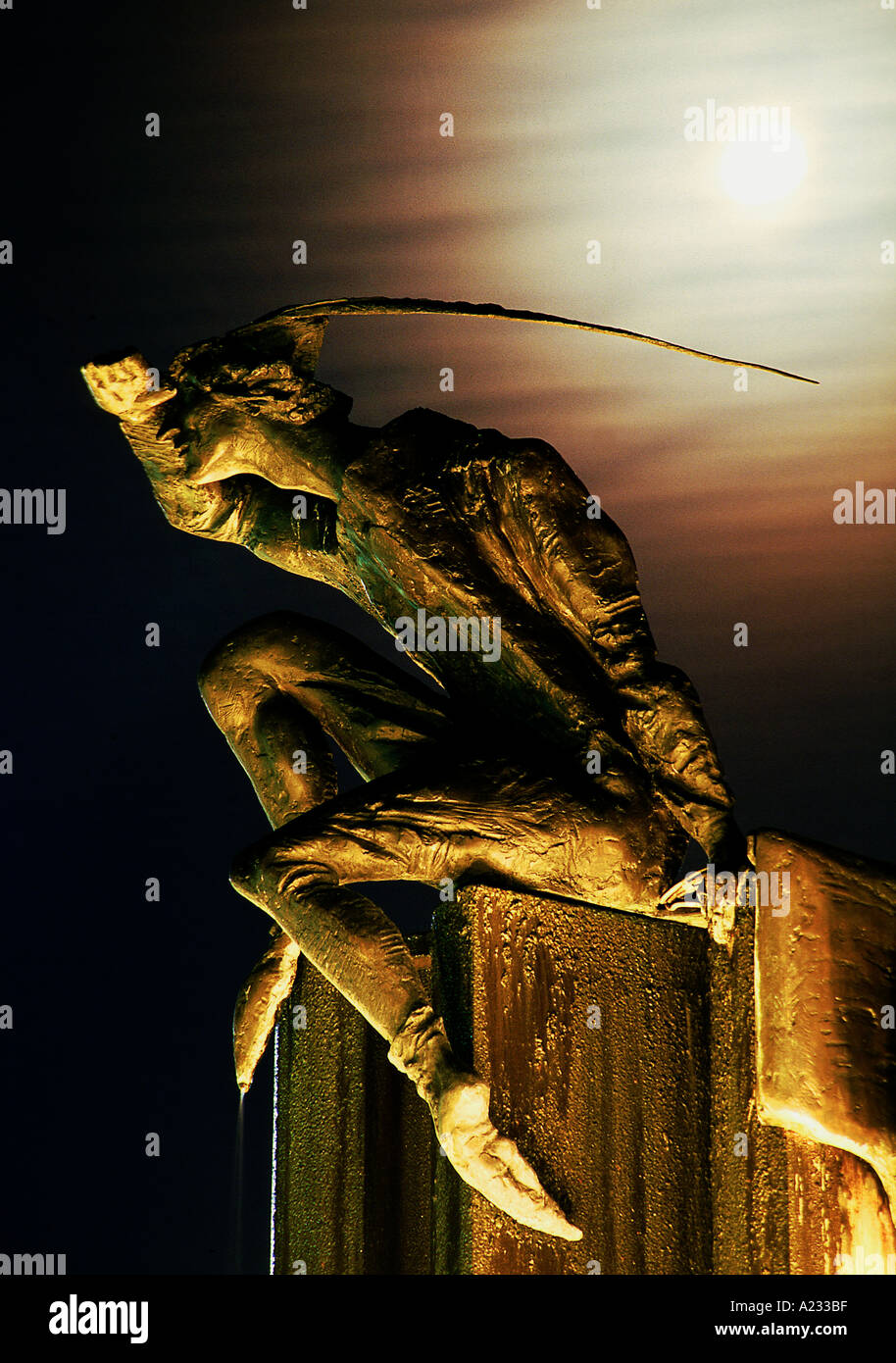 Looking in far hi-res stock photography and images - Alamy